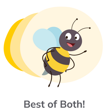 Phonics – Jolly Learning
